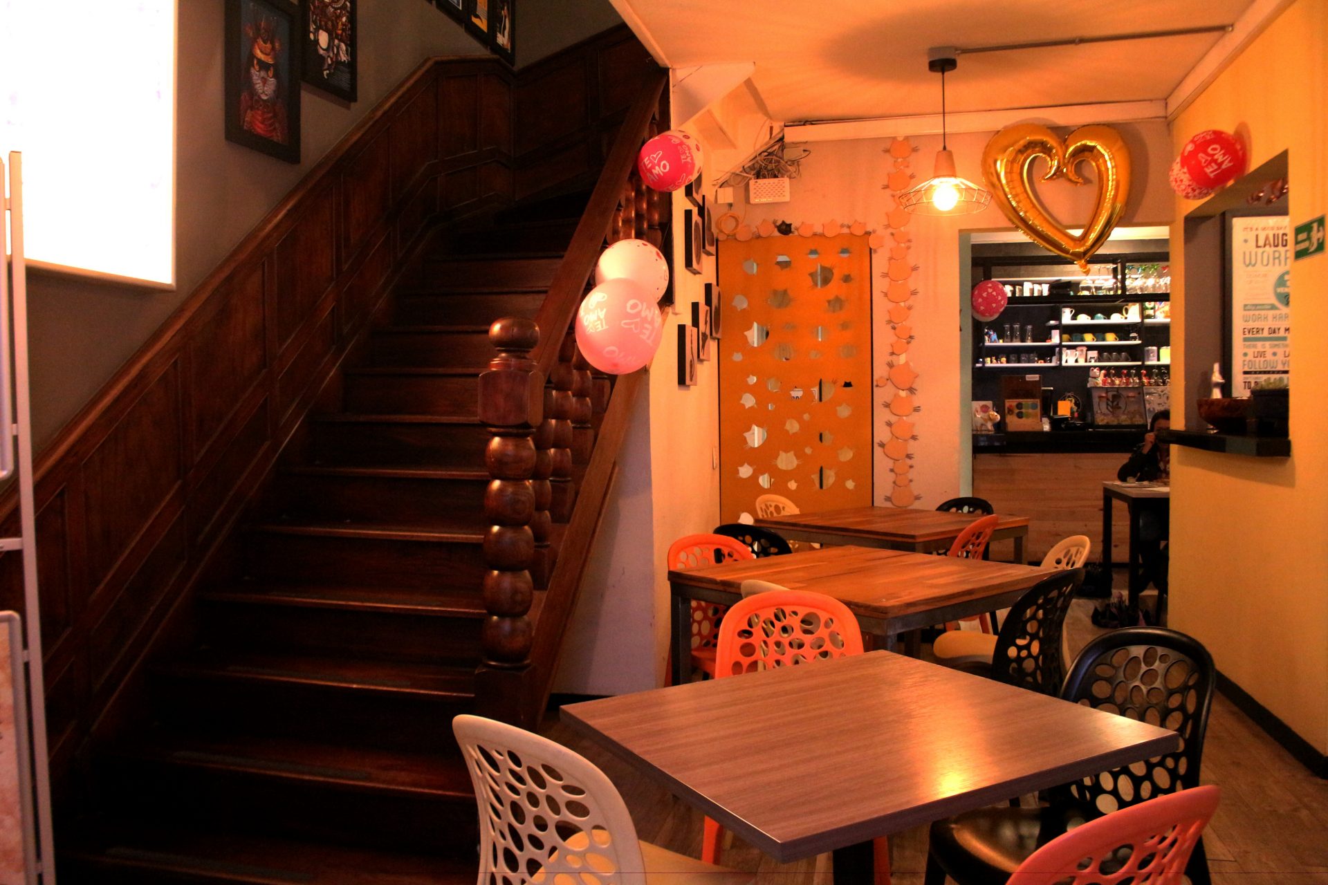 Esto es ‘Cálico’, el café donde los protagonistas son los gatos