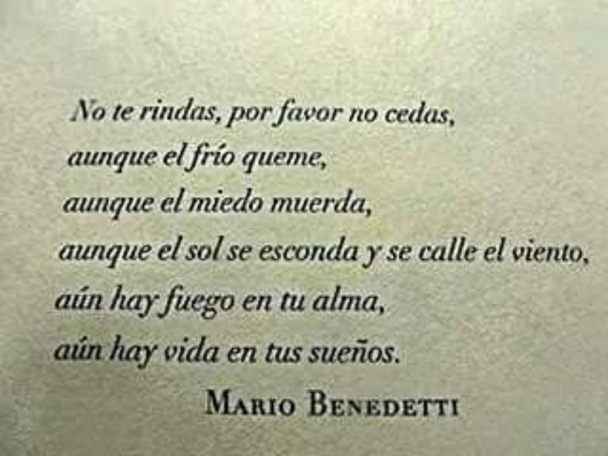 Conmemoración de los 100 años del natalicio de Mario Benedetti, una ...