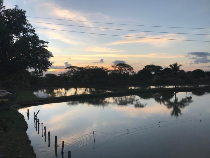 Arauca, cultura y tradición