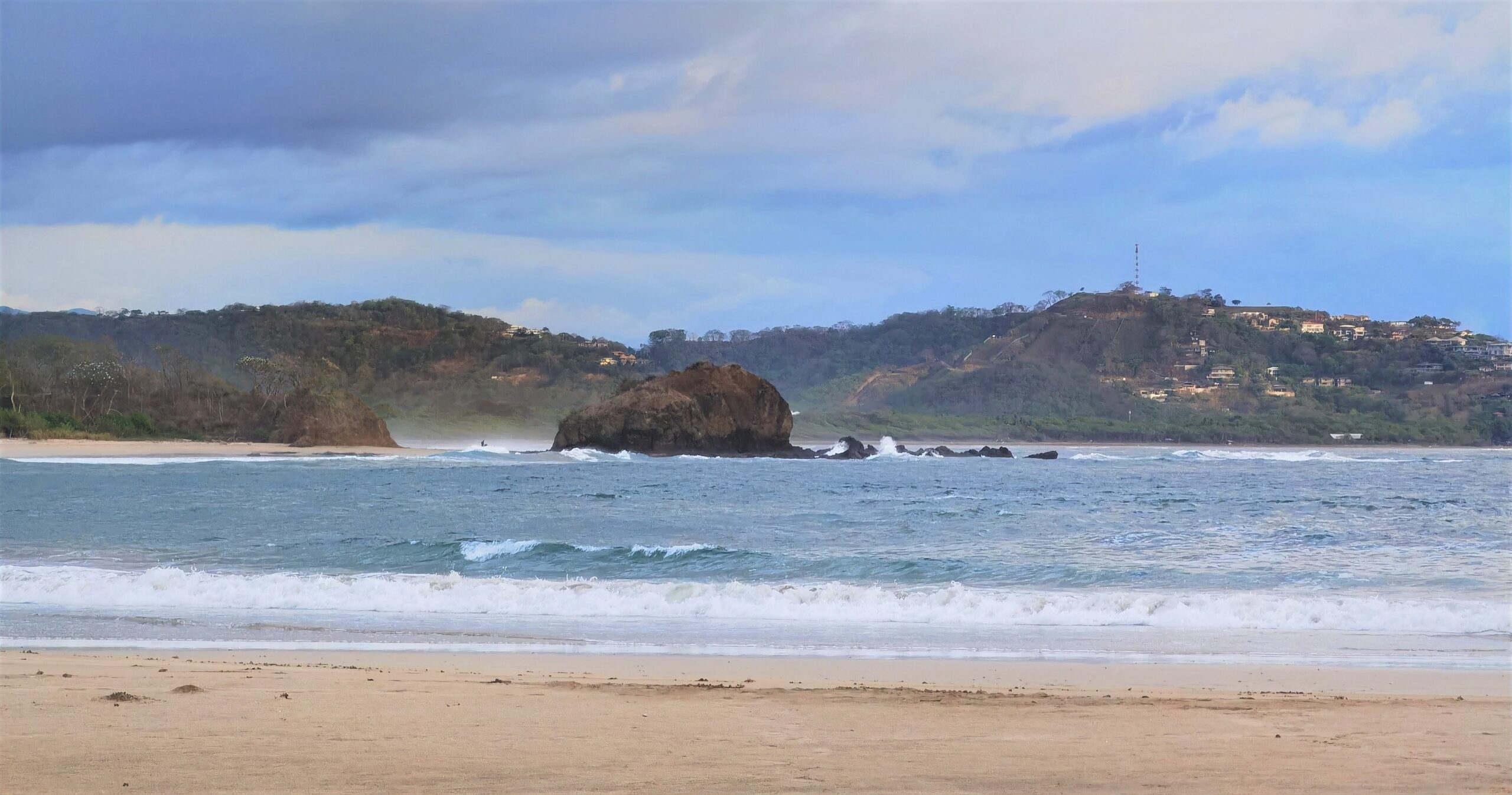 Alerta de extinción: la lucha de la tortuga baula para sobrevivir