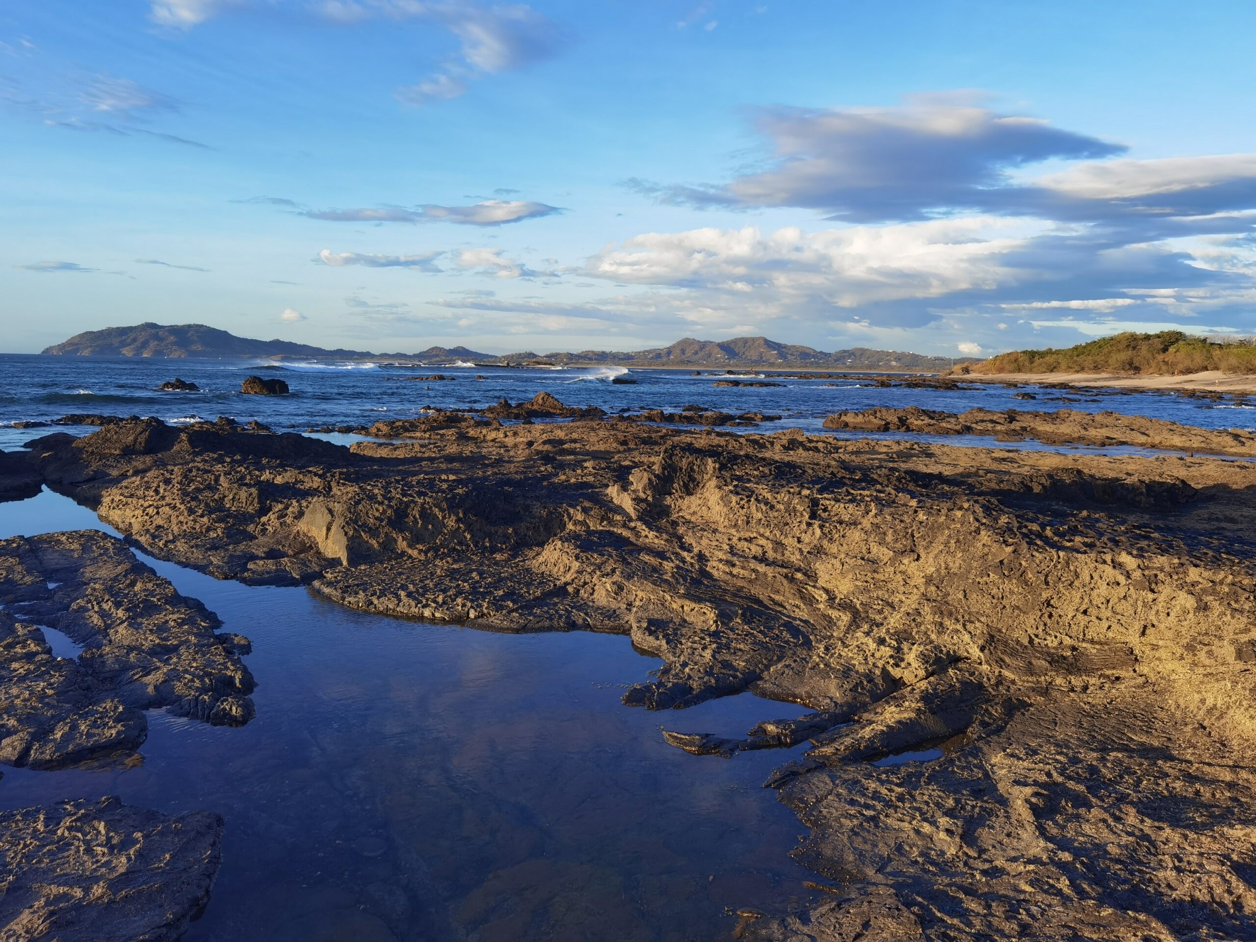 Alerta de extinción: la lucha de la tortuga baula para sobrevivir