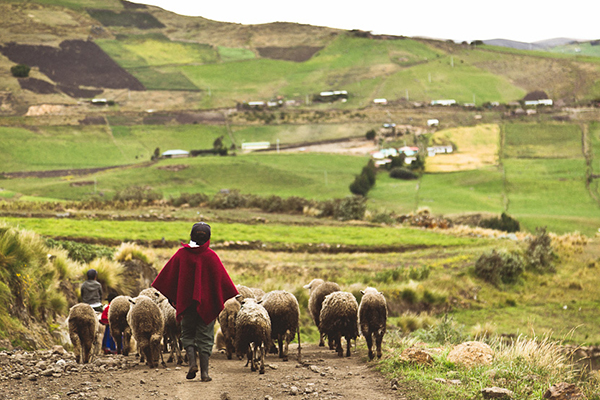 Ecuador enfrenta el fenómeno del Niño junto a la crisis climática